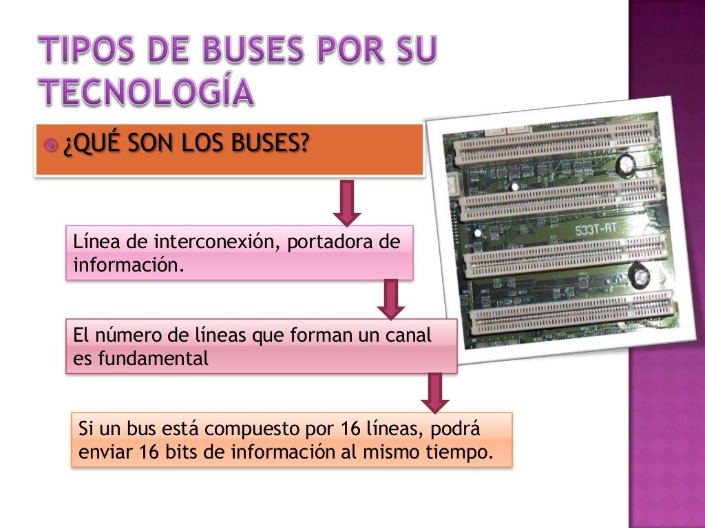Informática: Placa Madre : Bus de Datos