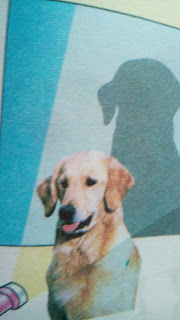 How to make Shadow Shapes with Hands