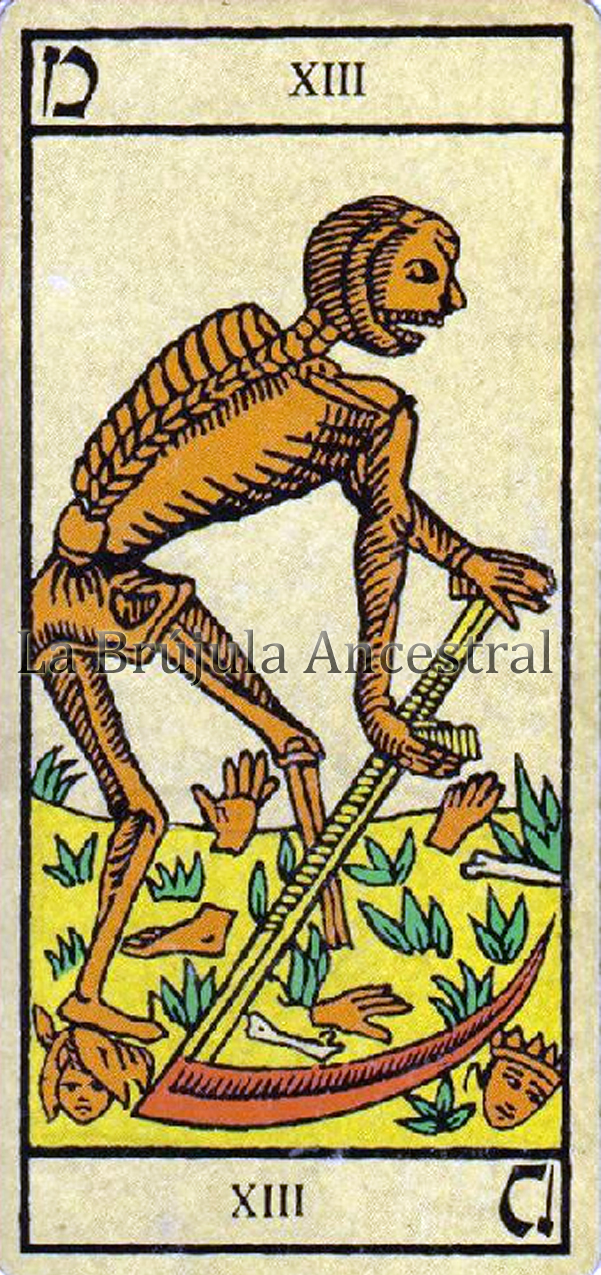 La Brújula Ancestral: El Arcano Mayor de la transformación, el XIII.