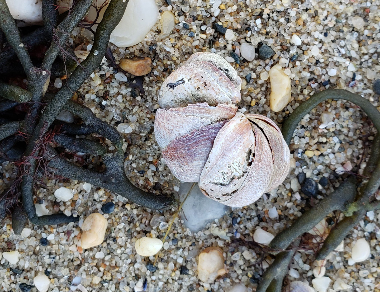 66 Square Feet (Plus): Caumsett