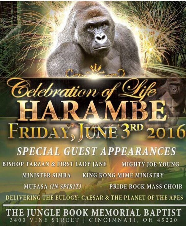 Trending Now: Harambe - A gorilla that has people going apes - PlayTime ...