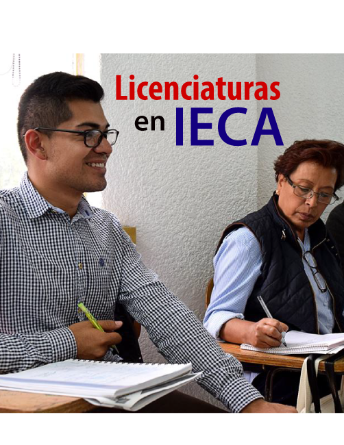 IECA: Licenciaturas en IECA