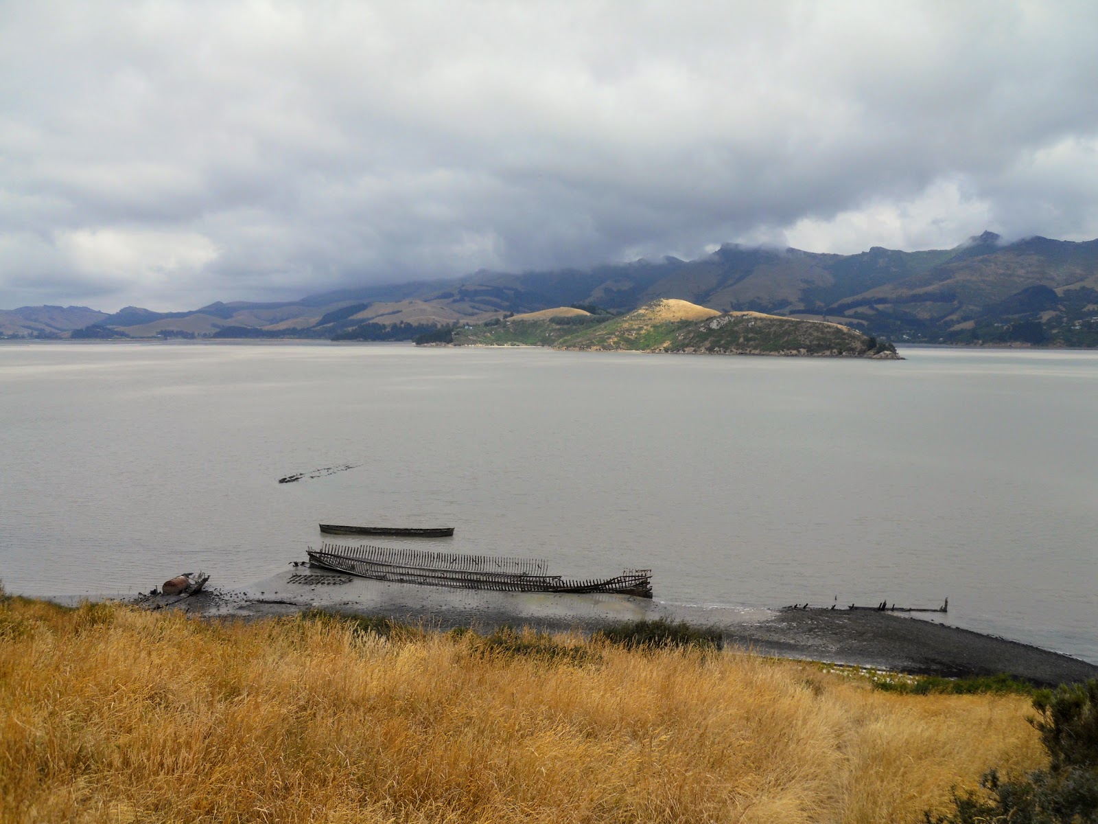 Tramping in the New Zealand backcountry: NZ Bush Adventures: Daytrip to ...