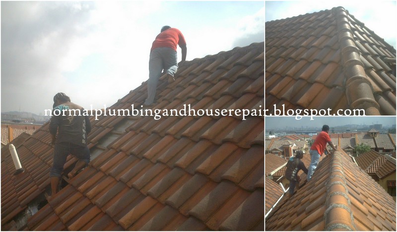 NORMAL PLUMBING: BUMBUNG BOCOR (MENUKAR RABONG JENIS 3 WAY APEX)