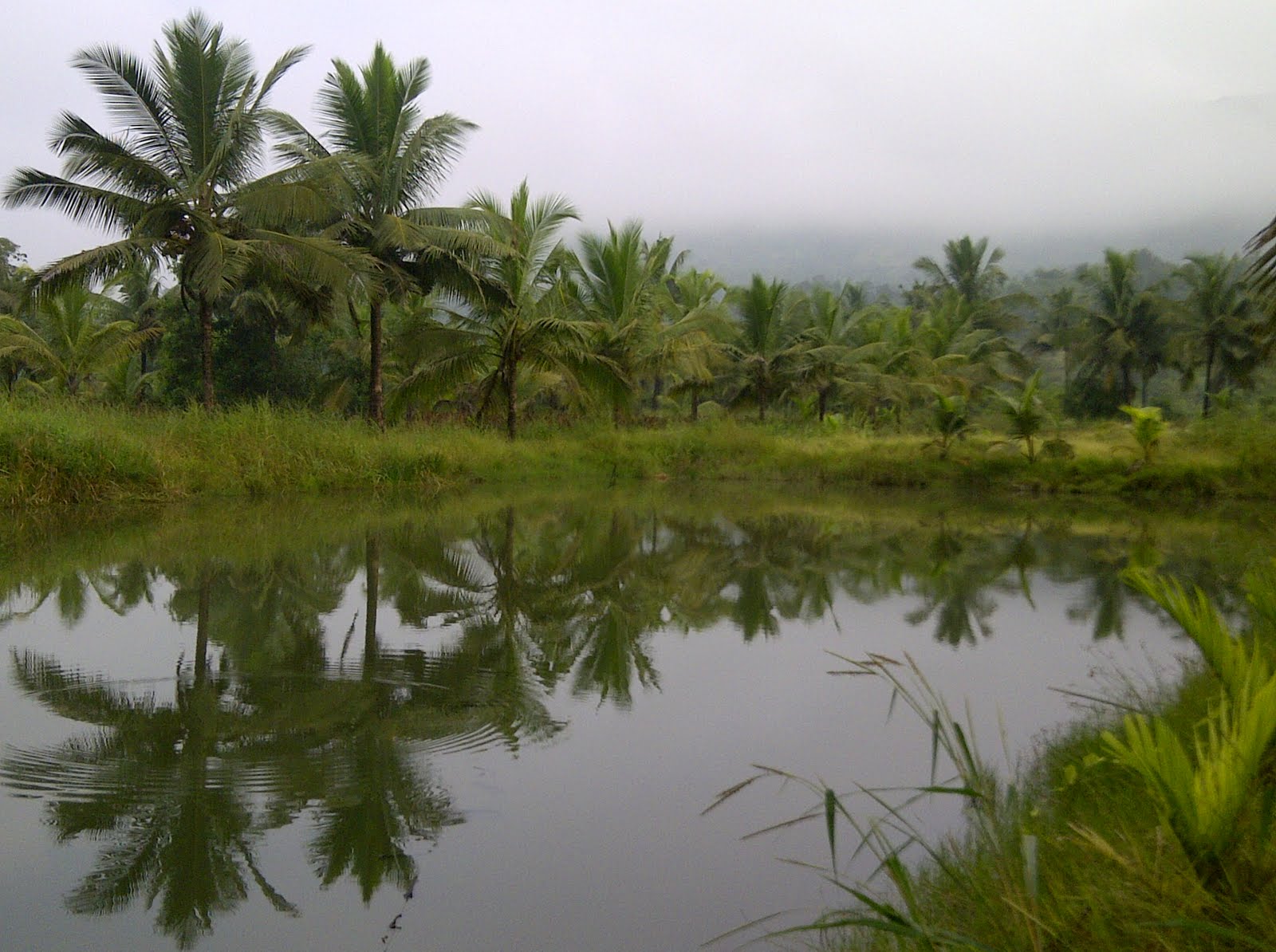 Nature Knights: Chiplun-Paradise-Found
