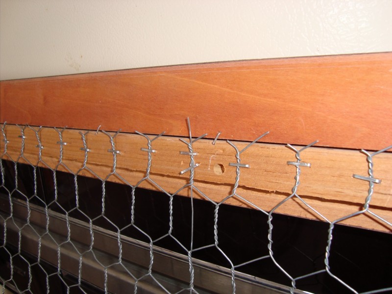 Polka-Dotty Place: DIY Chicken Wire Frame