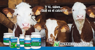 Nutrawellness México: Y tú, sabes ¿Qué es el calostro?