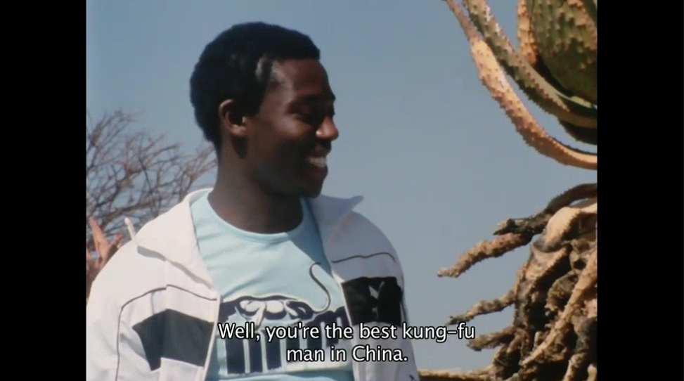 The Department of Afro American Research, Arts and Culture