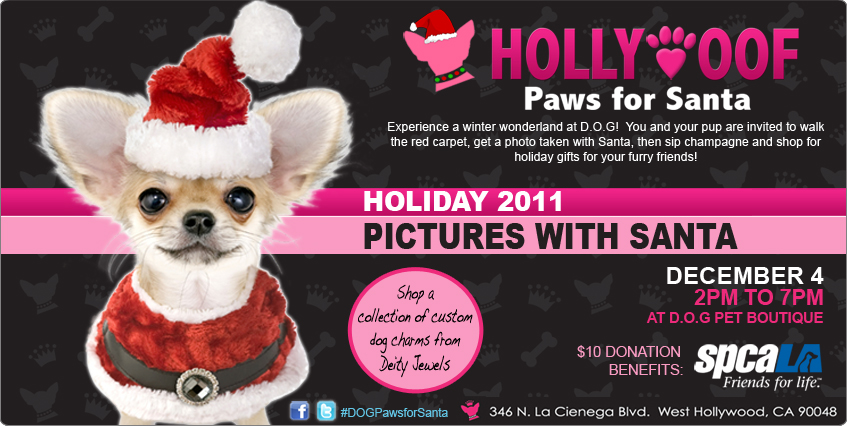 D.O.G. Hollywoof Paws for Santa | Bite Me! Music + Fashion