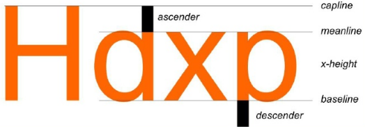 Bentuk dan Pengukuran Huruf dalam Tipografi - Rikyta