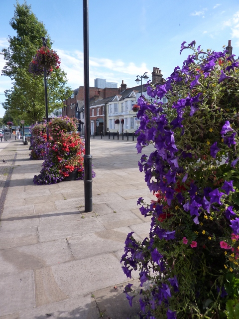 About Dunstable : Looking forward to new events on The Square Dunstable....