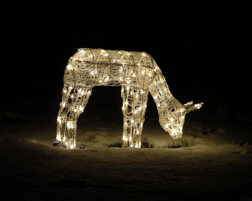 Liudvikos skrynia: Taurusis elnias