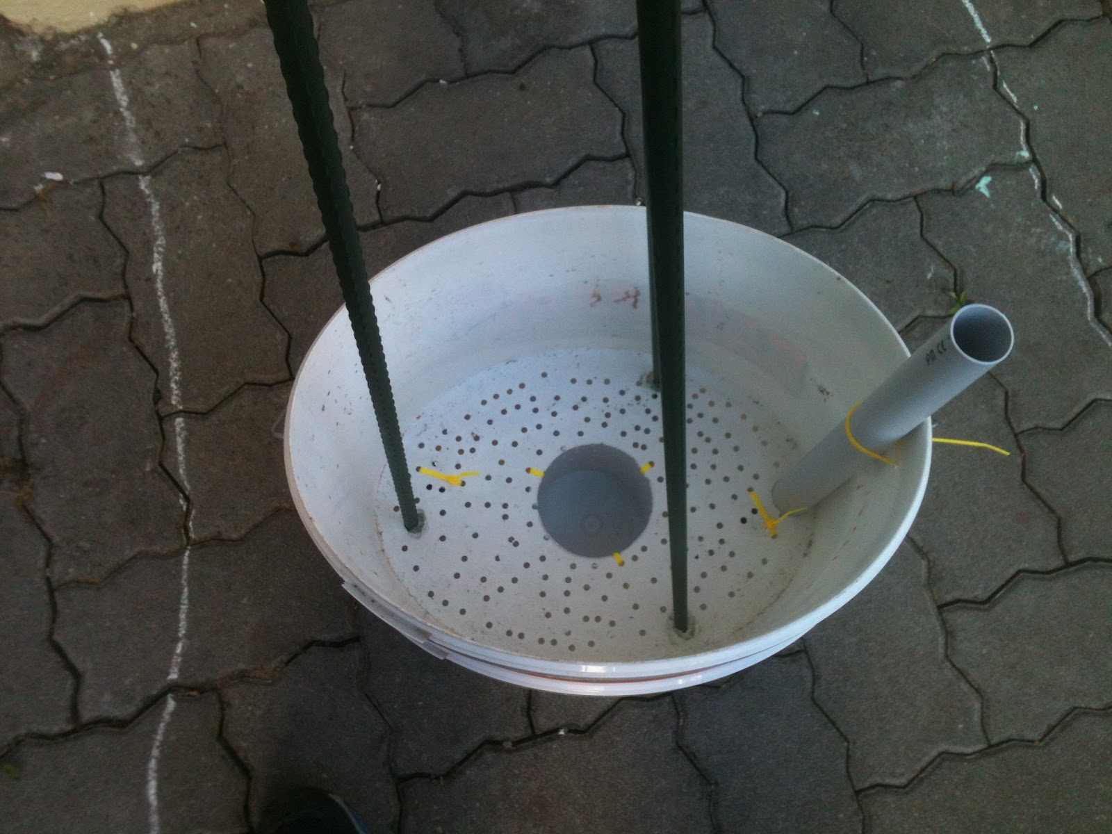 Container Gardening (first time): Global Bucket 1