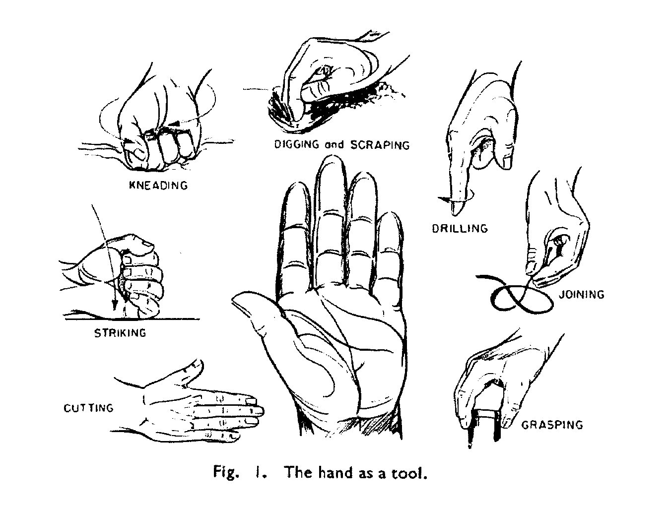 Wisdom of the Hands: tools...