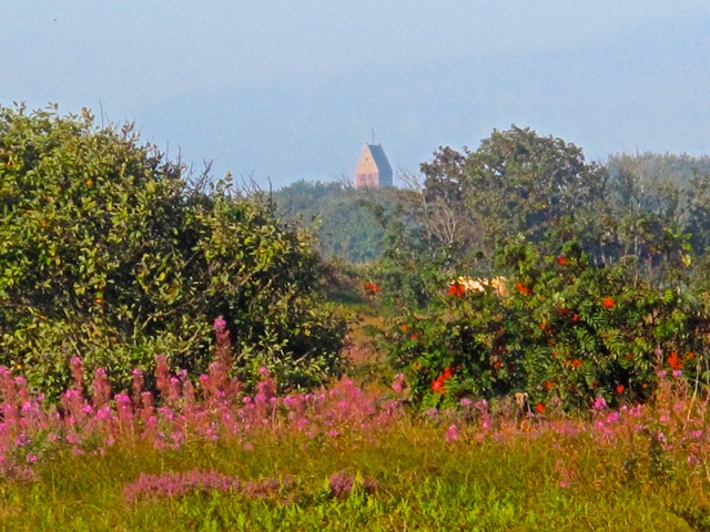 Hermans Ameland: 76 Gezicht op Hollum vanaf de Witte Reep