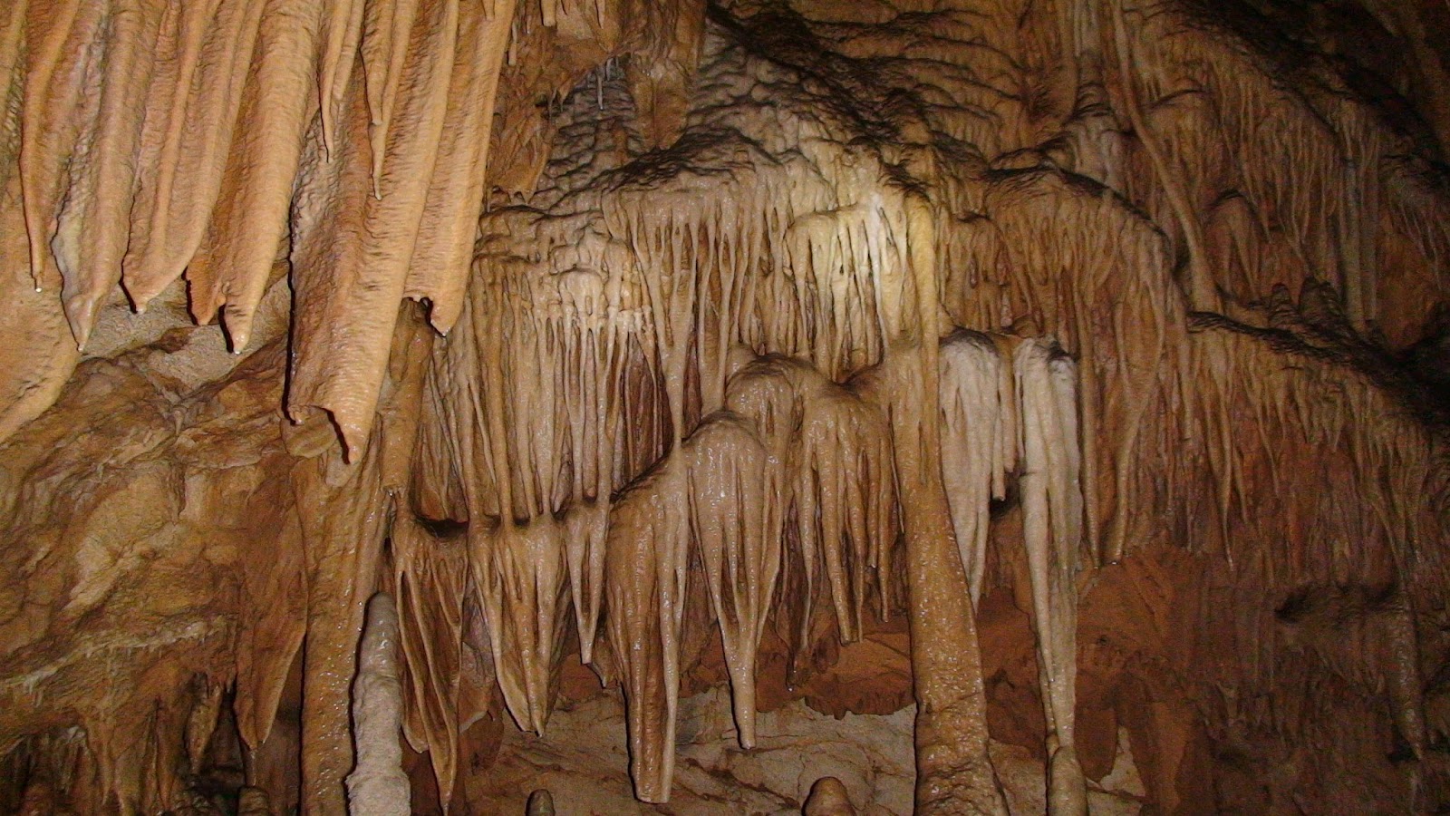 TUDOR PHOTO BLOG: Pestera Ghetarul de la Vartop - Muntii Apuseni ...