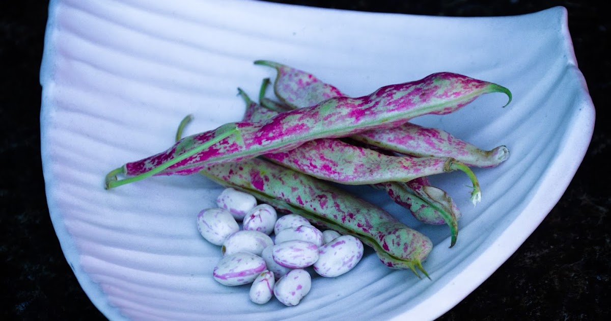 The Post Ranch Kitchen: Fresh Summer Shelling Beans