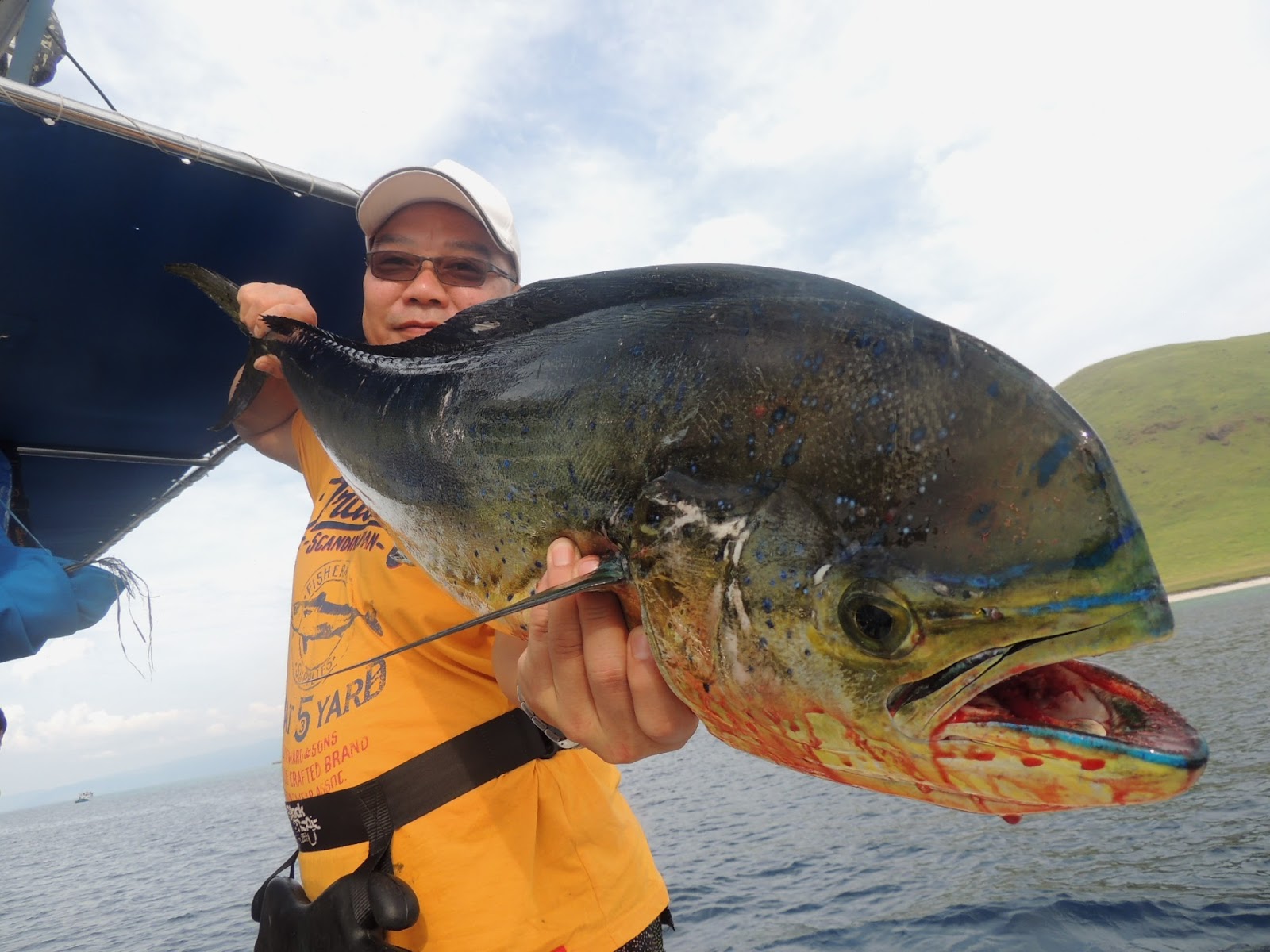 Menikmati Tarian Lemadang Mahi Mahi - Berita Mancing