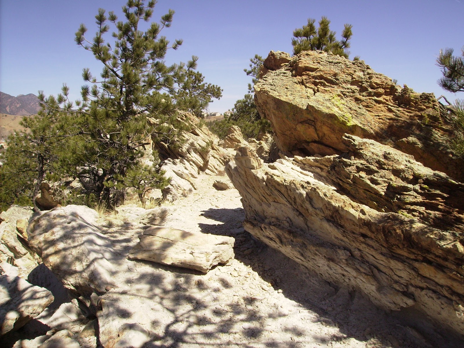 CSMS GEOLOGY POST: UTE VALLEY PARK AND THE LARAMIE FORMATION