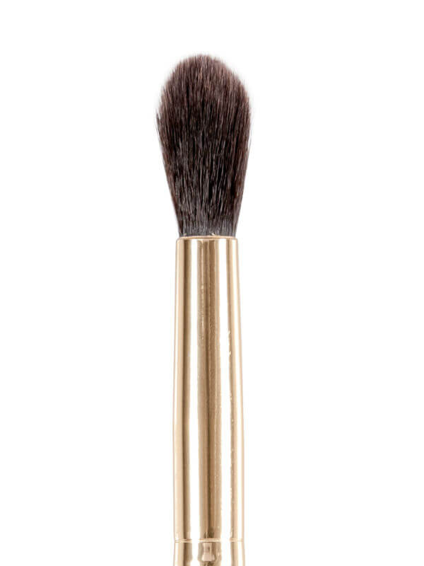 12 Best Makeup Brushes-Every Makeup Lover Need To Know