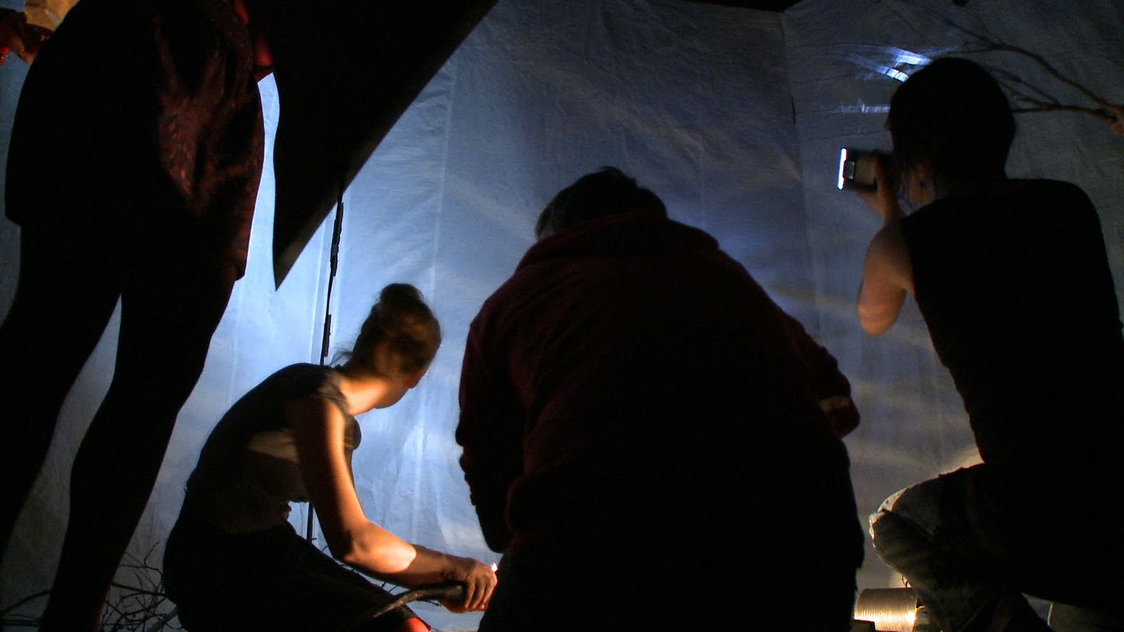 Sean Frey: Performance and Design: Feist Shadow Show