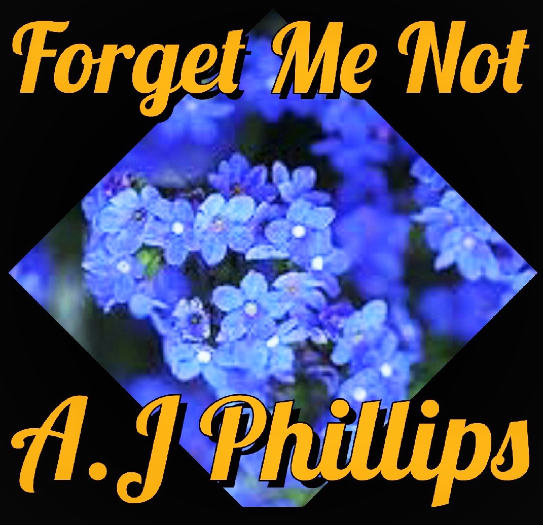 Forget Me Not 2 Journal Entry 1