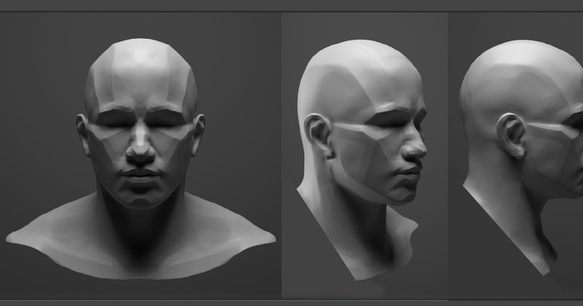 Anatomy: Head Planes Study