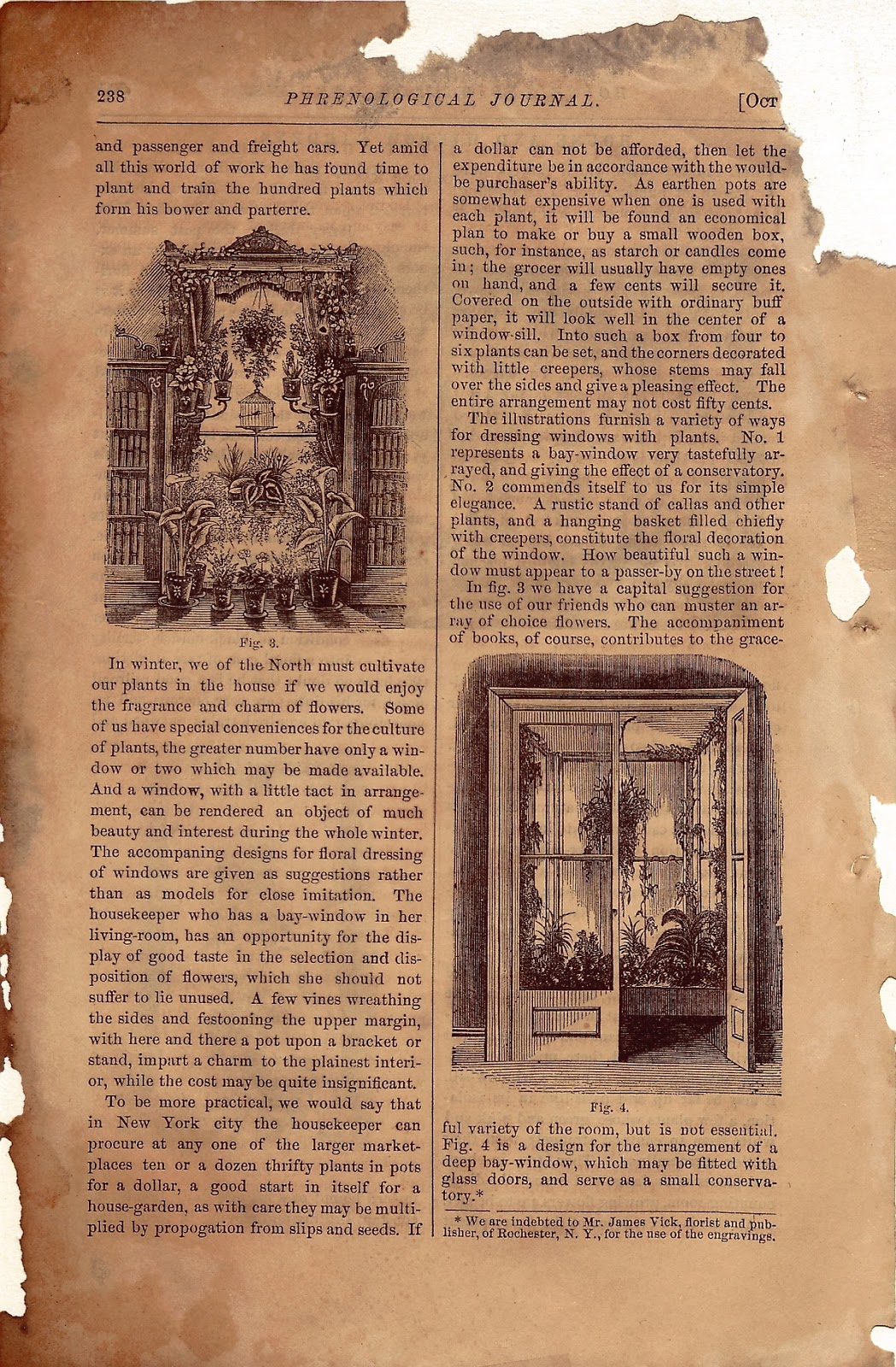 glenda's World : Free Old Graphics