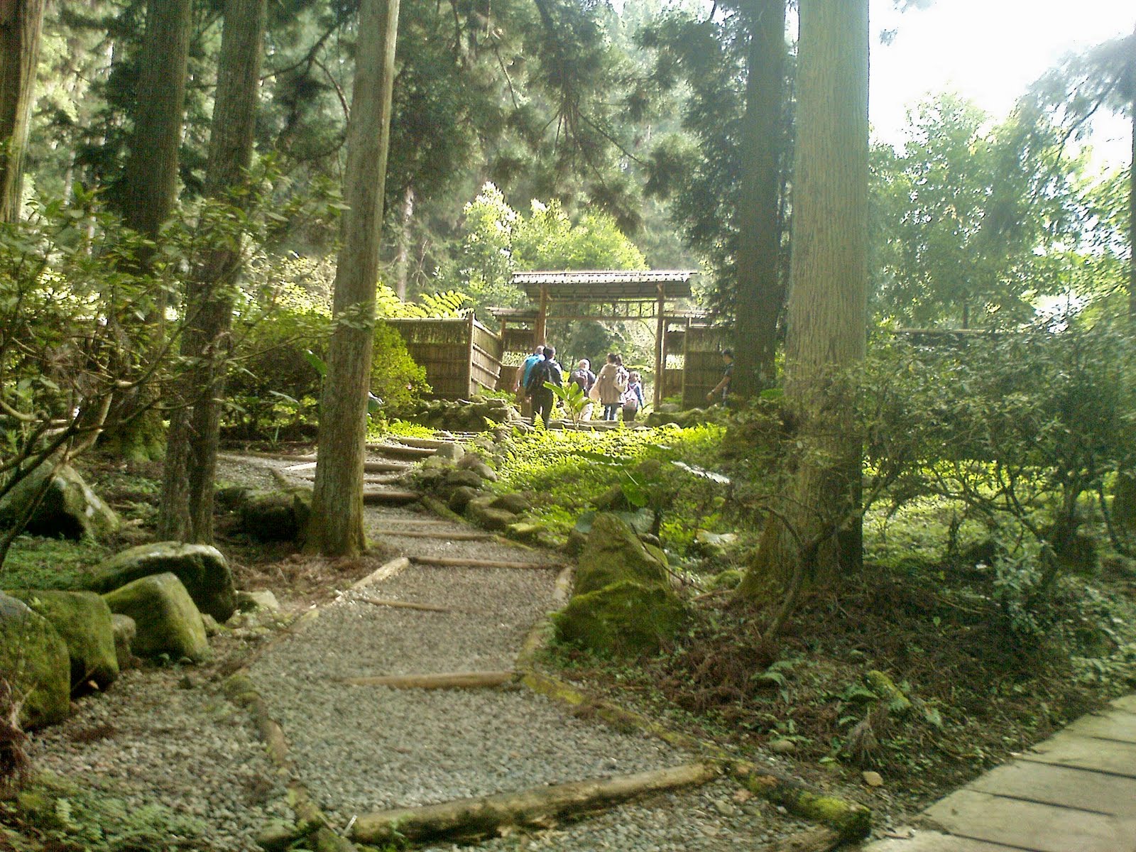 Wander Girl: Xitou Forest Recreation Area