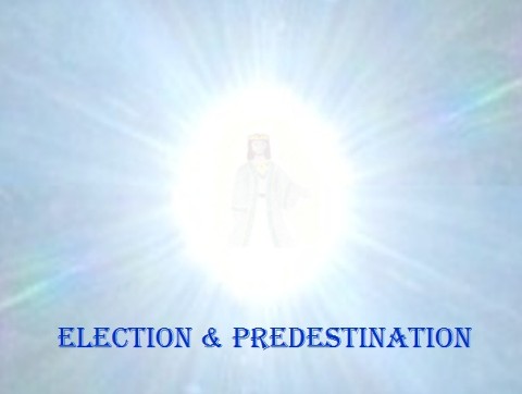 Election and Predestination: Home