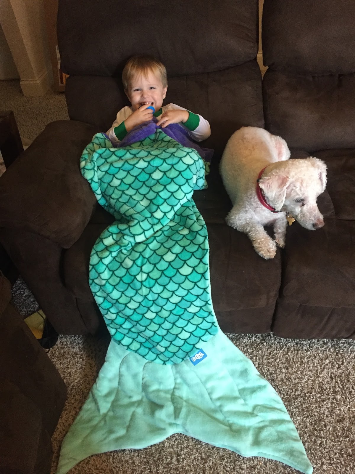 Great Gift Idea: Fin Fun Cuddle Tails - Nanny to Mommy