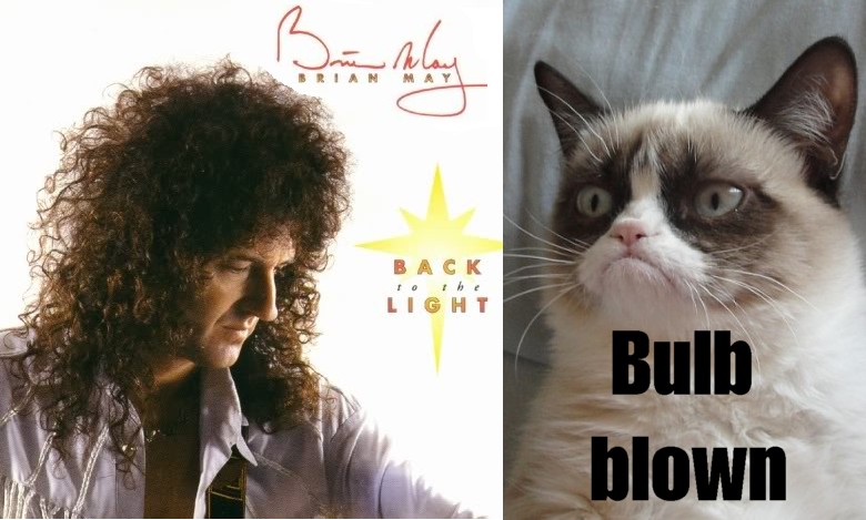 Grumpy Cat - The Rock'n'Roll years: Grumpy Cat meets Queen