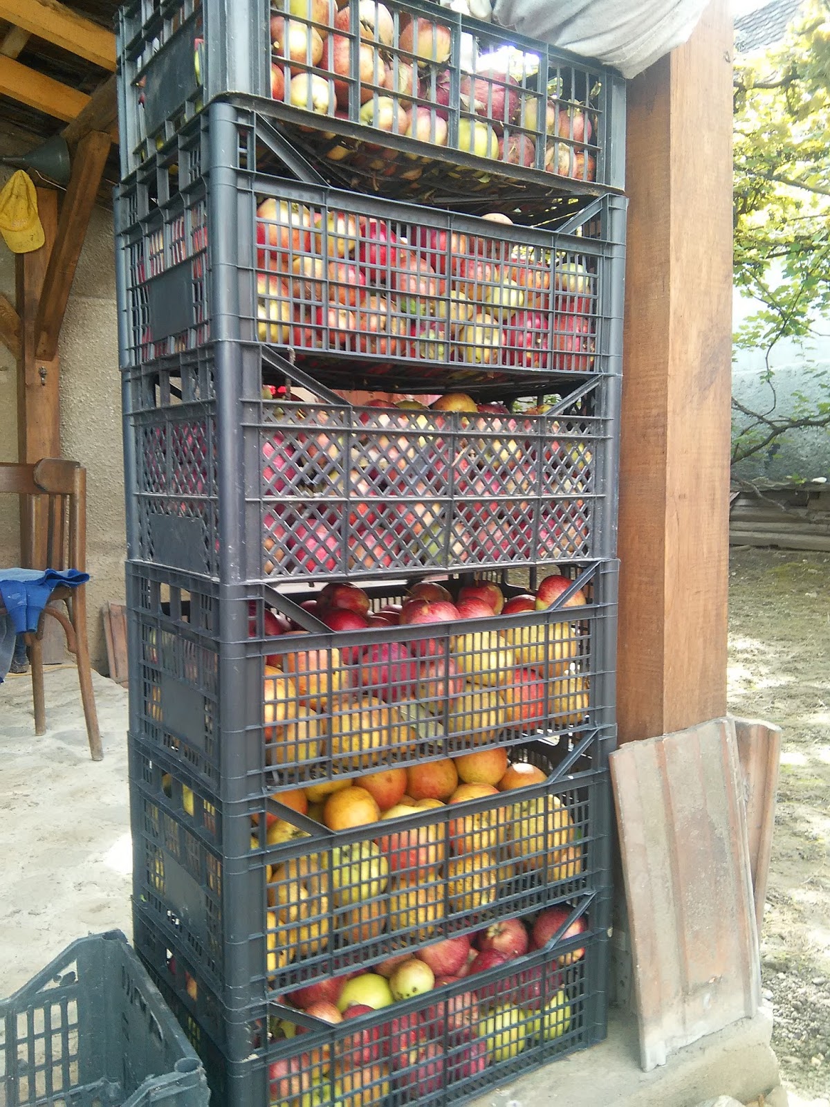 Icoane pe sticla: Mai vechi