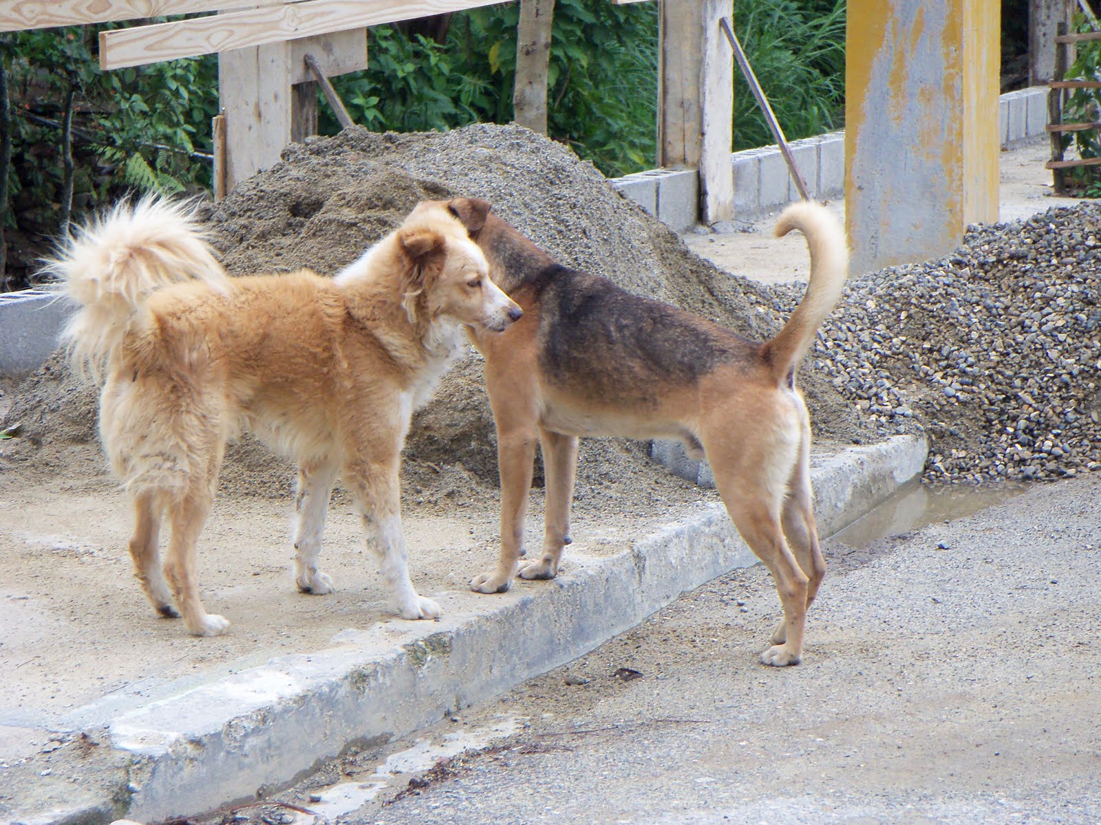Pedro García Digital::::::: 1 de mayo de 2011