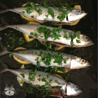 Airinie Cooks: Her Eclectic Kitchen: Lemon Kolios (Atlantic Chub Mackerel)