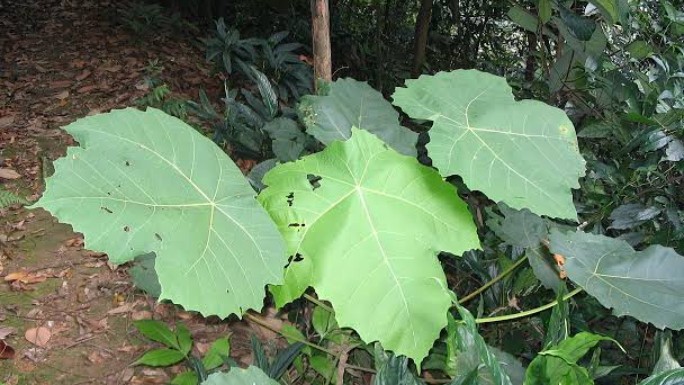 Sunday, August 30, 2020