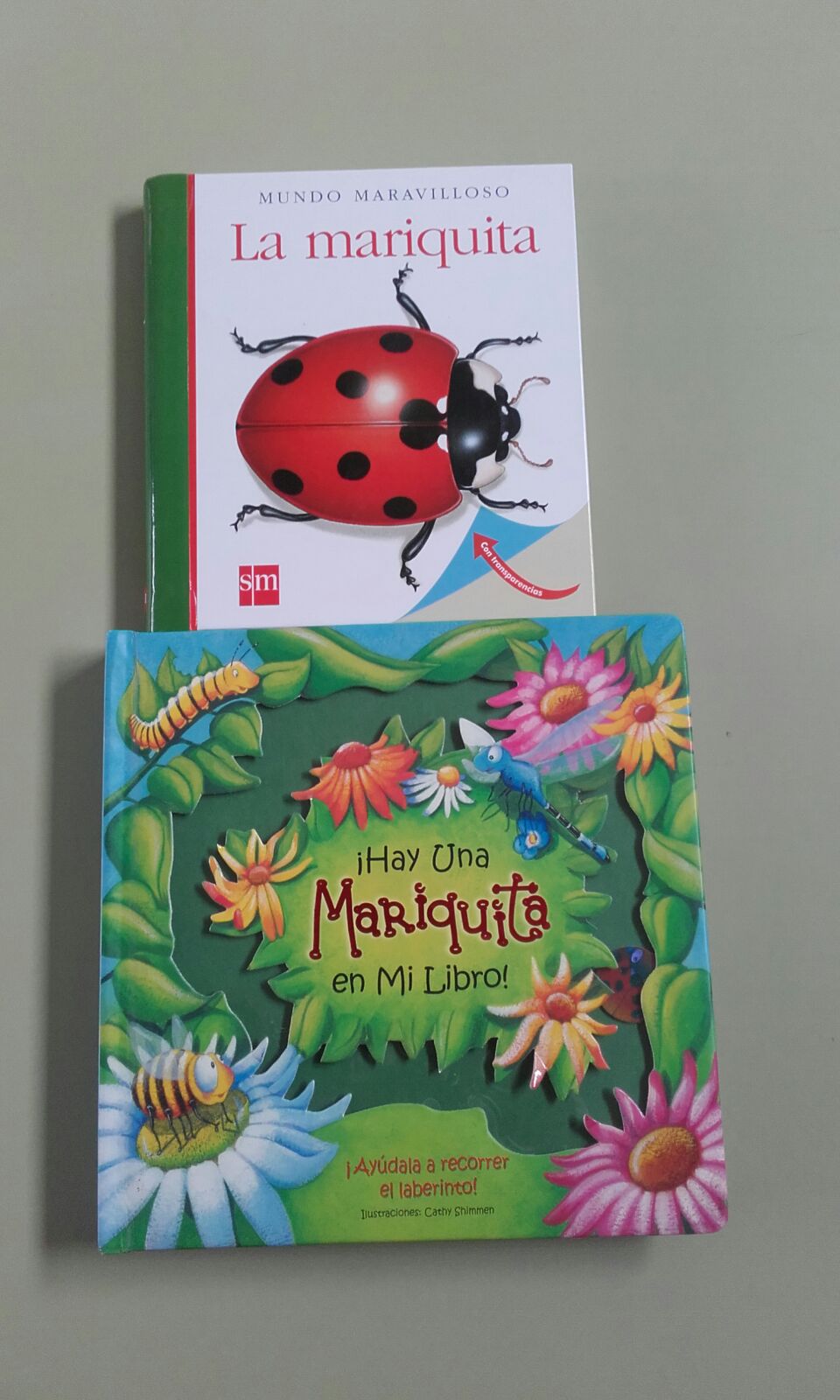 La magia de mirar: CUENTOS EN EL AULA DE LAS MARIQUITAS