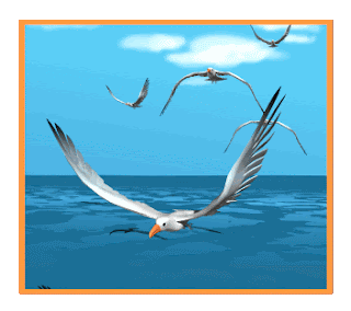 Gif de aves volando - Imagui