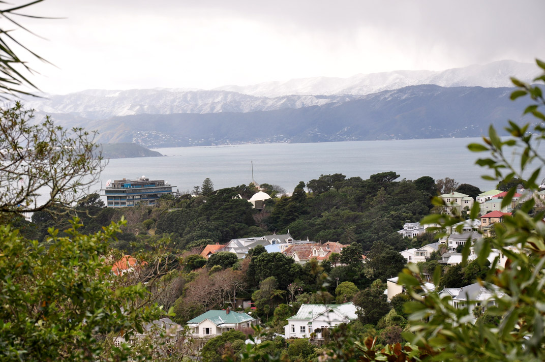 WebWeaver's World: The day it snowed in Wellington
