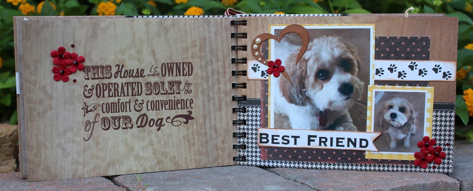Crafty Creations: Quick Quotes - Pet Mini Albums