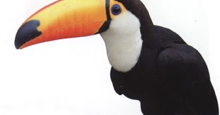 Roque Vega - cuentos: Tucan