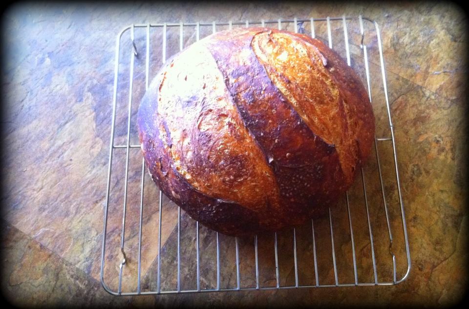 it’s all about the food: introducing whole grains to improve "no-knead ...