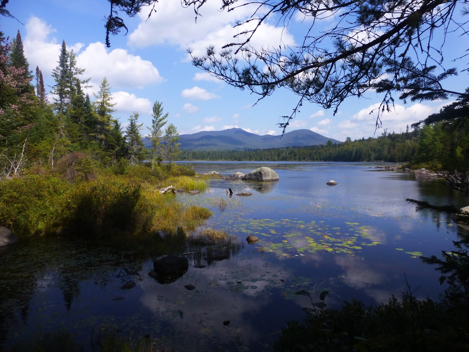 Off on Adventure: Wolf Pond - A New Trail in Progress! - Vanderwhacker ...
