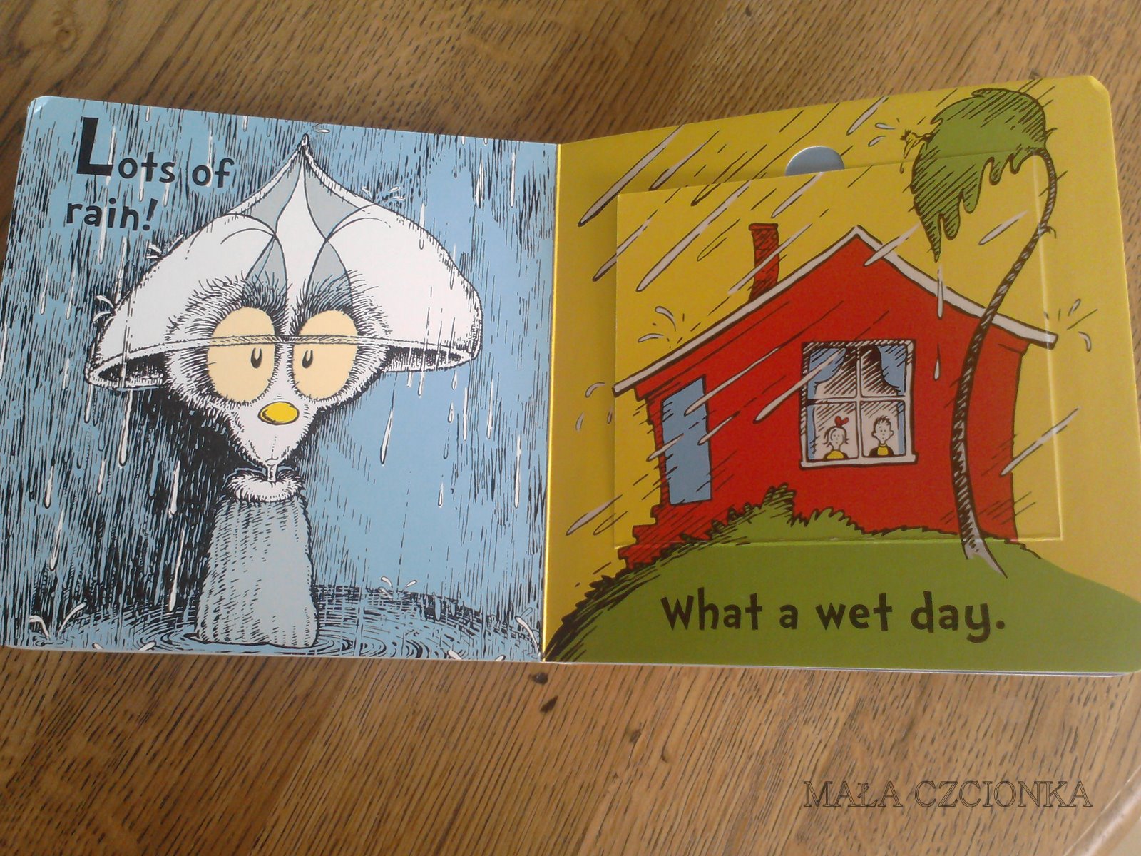 Wacky Weather | Mała czcionka recenzje książek dla dzieci