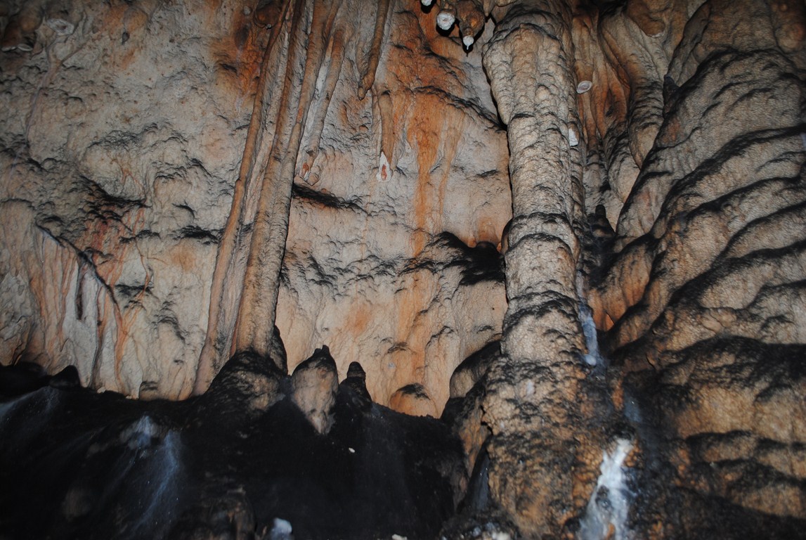 Padurea Craiului - Pestera Vadu Crisului