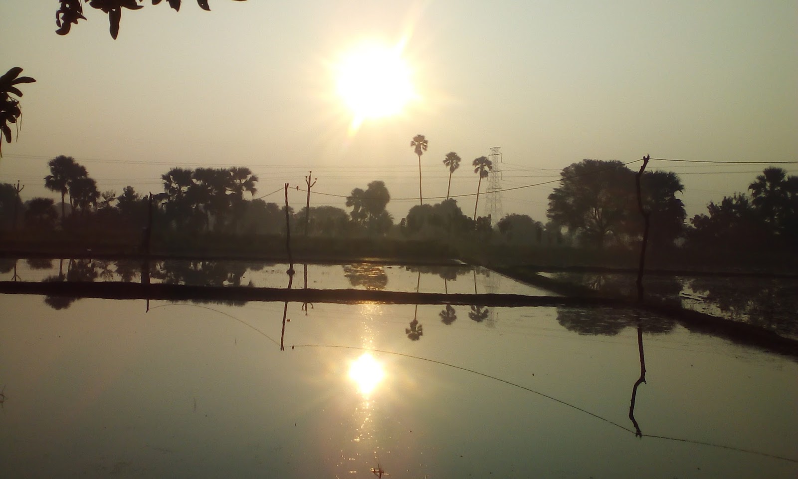 morning time in villages site view