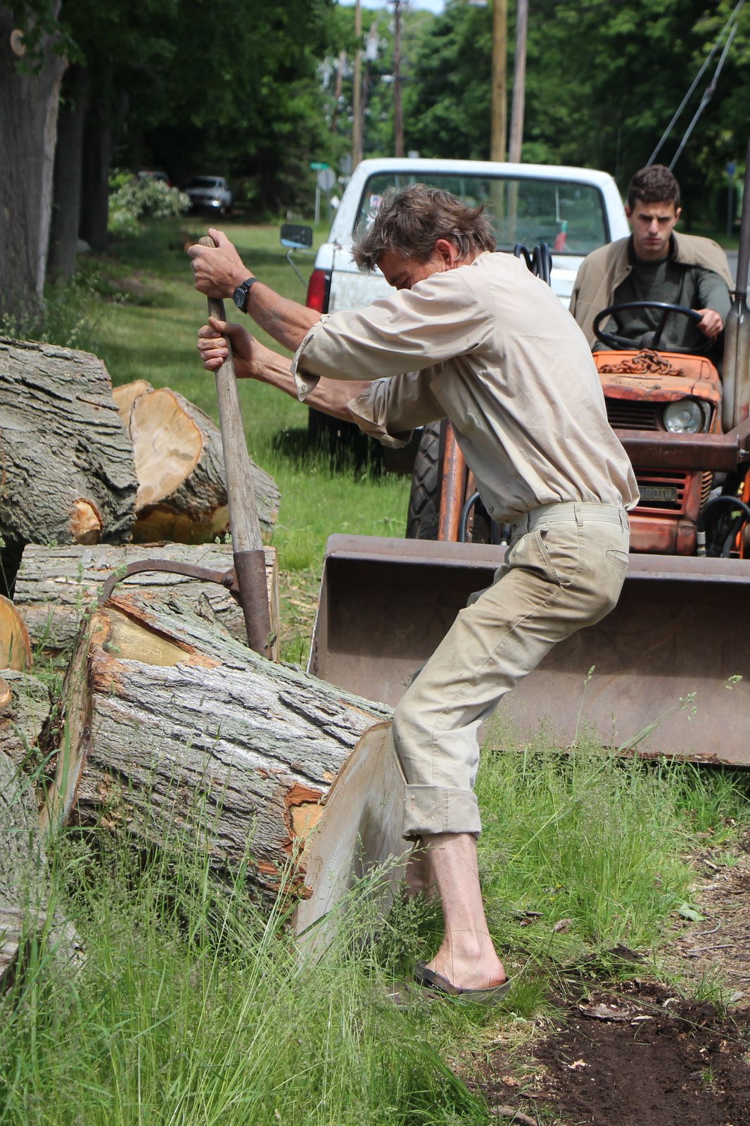 Barberry Hill Farm: A Standard Peavey