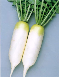 Sepa propiedades medicinales del Nabo [Curativas] | Plantas - Hierbas ...