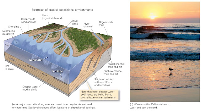 Learning Geology: Recognizing Depositional Environments