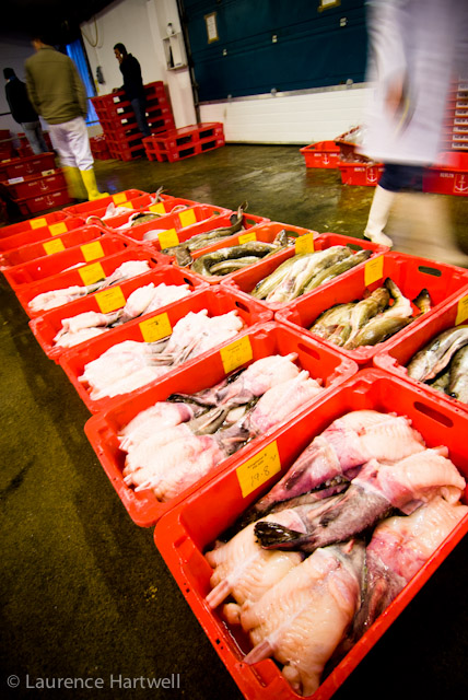 Through the Gaps! - Newlyn Fishing News: Newlyn market end-to-end with ...